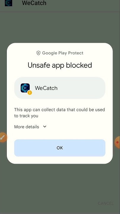Unsafe app blocked ️ Installing this app may put your device at risk. Learn more about Play ...
