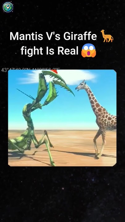 Mantis V's Giraffe 🦒 Fight 😱🌎 on google maps and google earth 🌎 #shorts #trending #scary # ...