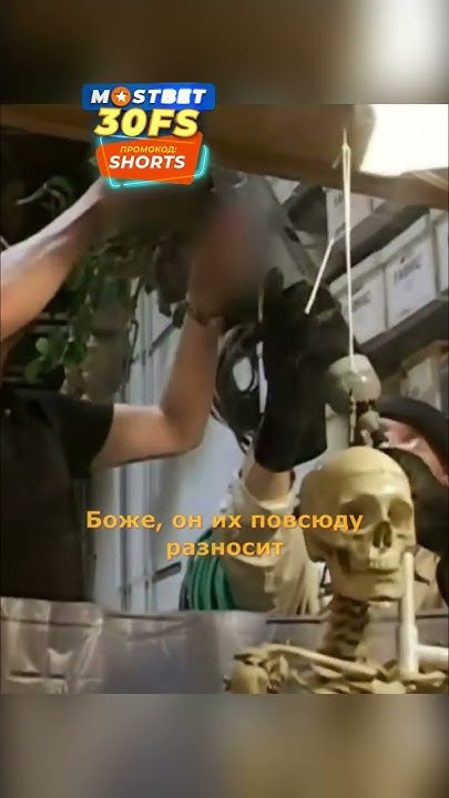 Может ли Шипучка и Кола лопнуть желудок Youtube