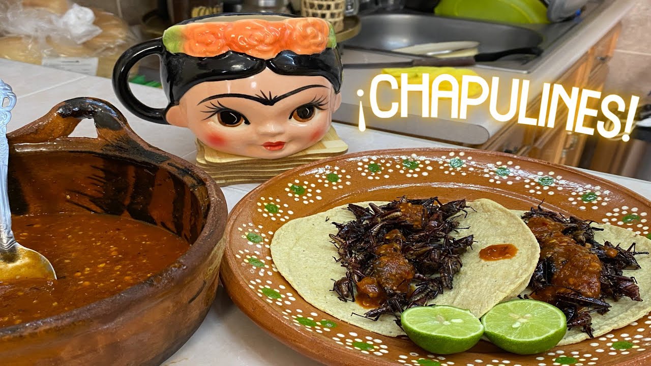 Como preparar unos ricos CHAPULINES con su SALSA bien picosita - YouTube