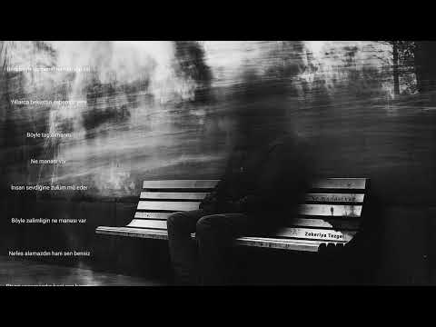 Şiirgibisin (Ne manası var)