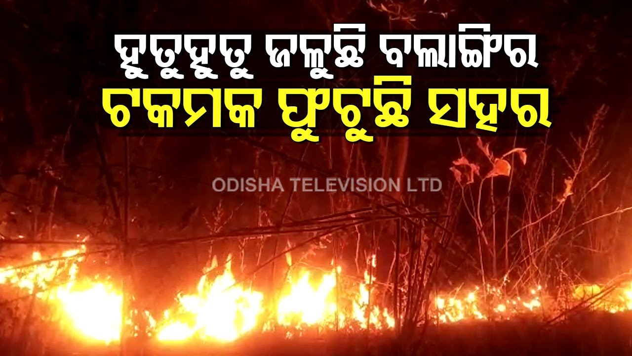 Odisha Forest Fire- Bolangir Forest Fire Rages | OTV Ground Report ...