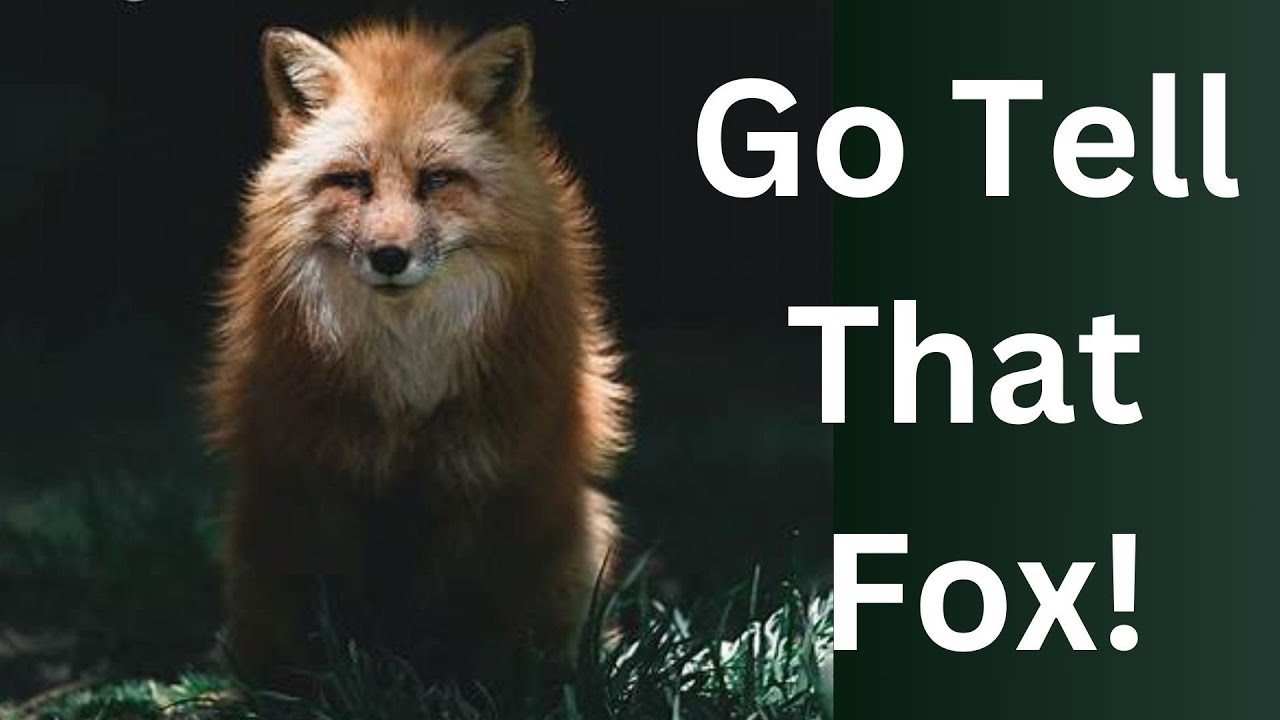 "Go Tell That Fox!" - Pastor Nathan Carrington 06/2/24 Sun PM - YouTube