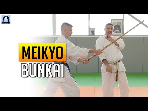 Bunkai Meikyo  #karate