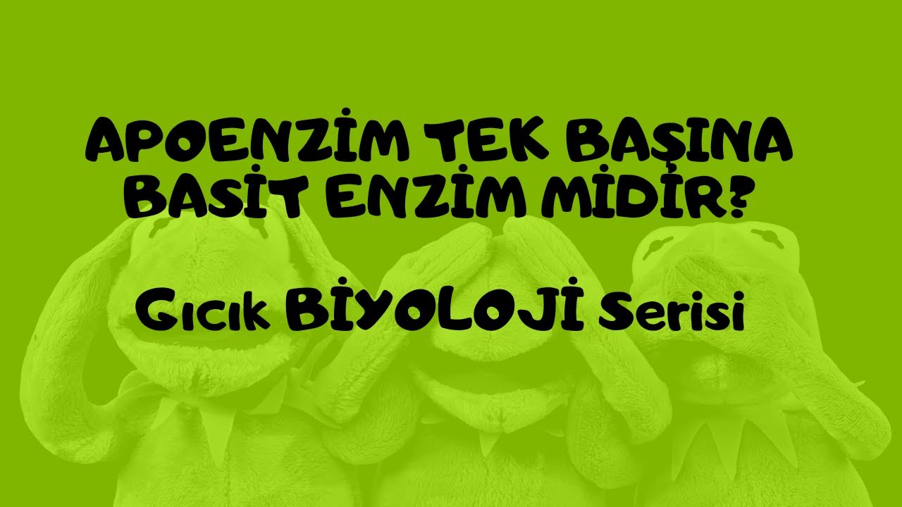 Apoenzim tek başına Basit enzim midir? - YouTube