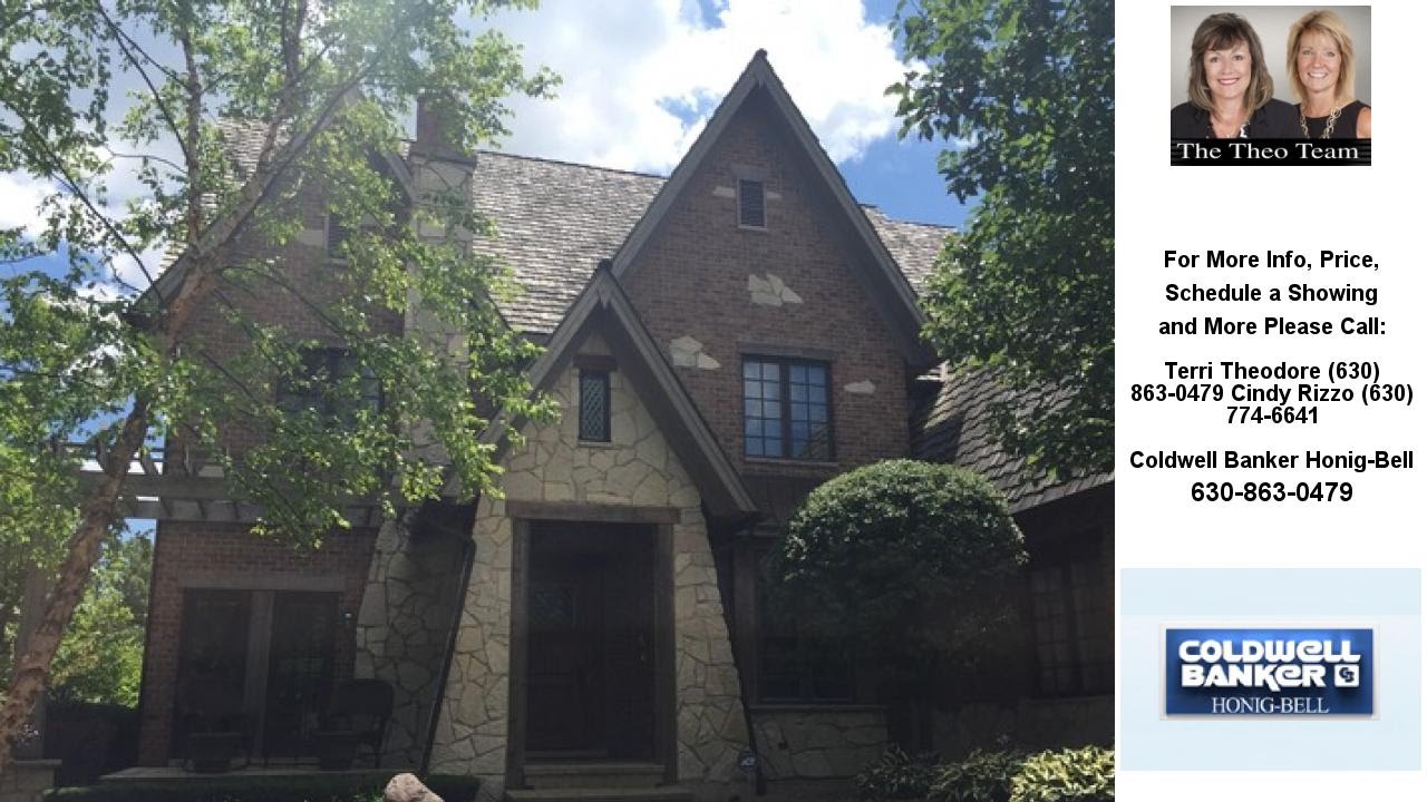 58 West Deer Lane, LEMONT, IL Presented by Terri Theodore (630) 863 ...