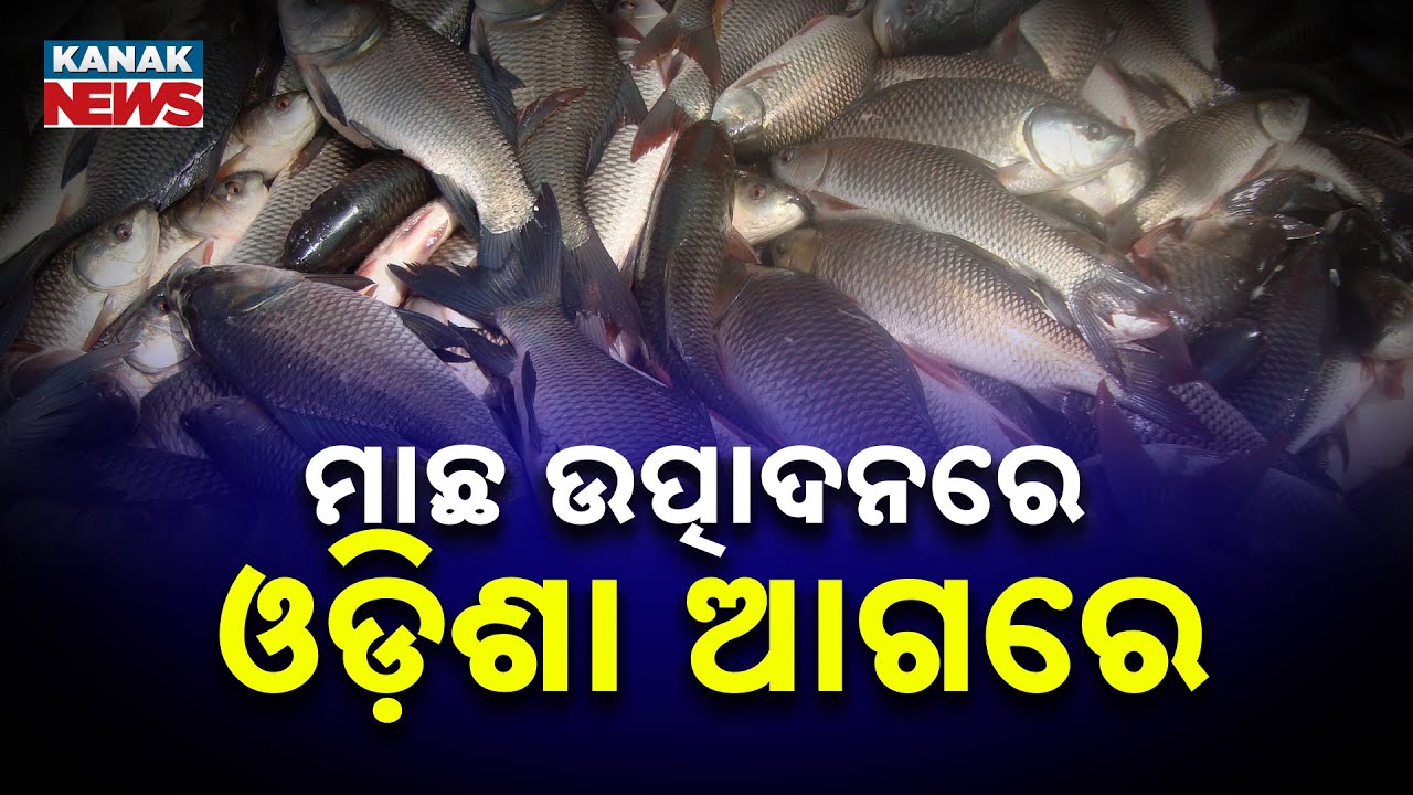 Odisha's Fish Production Surpasses 11.23 Lakh Metric Tons; Exports ...
