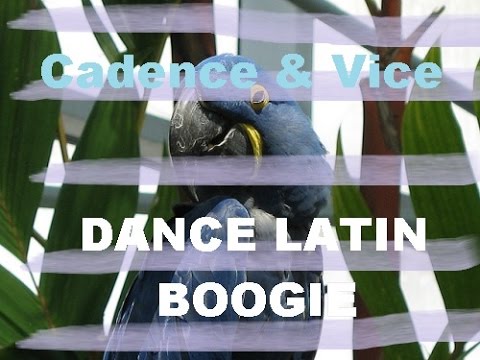 Cadence & Vice - Dance Latin Boogie (Full Demo) - YouTube