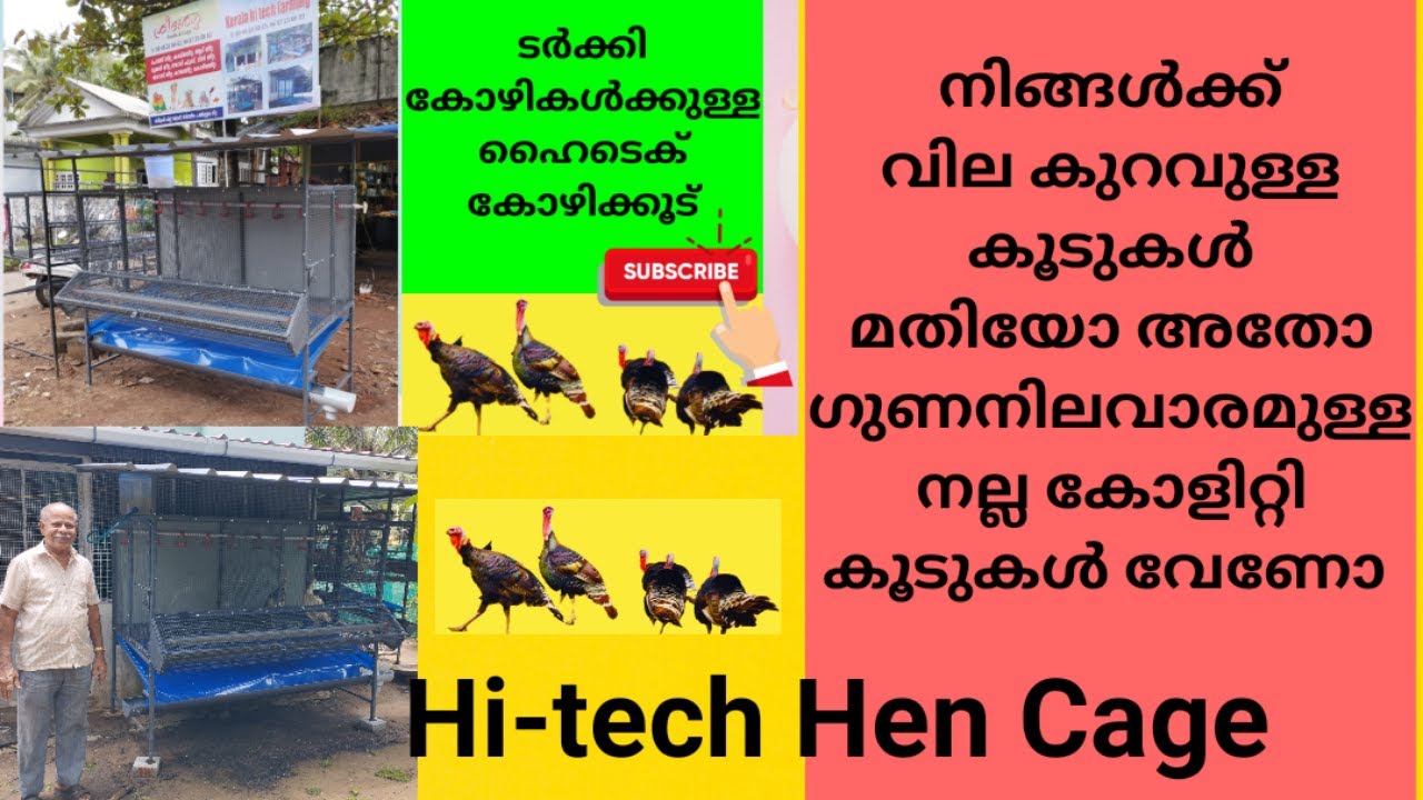 ഒരു ഹൈടെക് ടർക്കി കൂട് high tech hen cage #hitechhencage hi tech hen ...