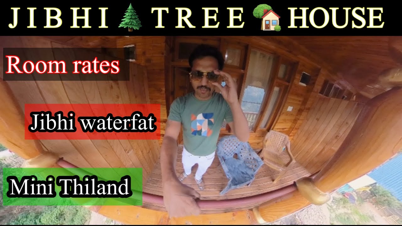BEST & CHEEP STAY IN TREE HOUSE 🏡 JIBHI HIMACHAL PARDESH || #jibhi#hp # ...