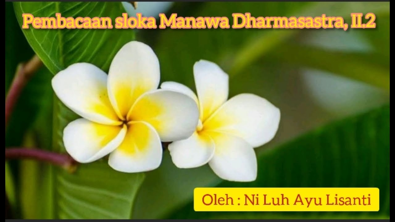Pembacaan Sloka Kitab Manawa Dharmasastra, II.2 - YouTube