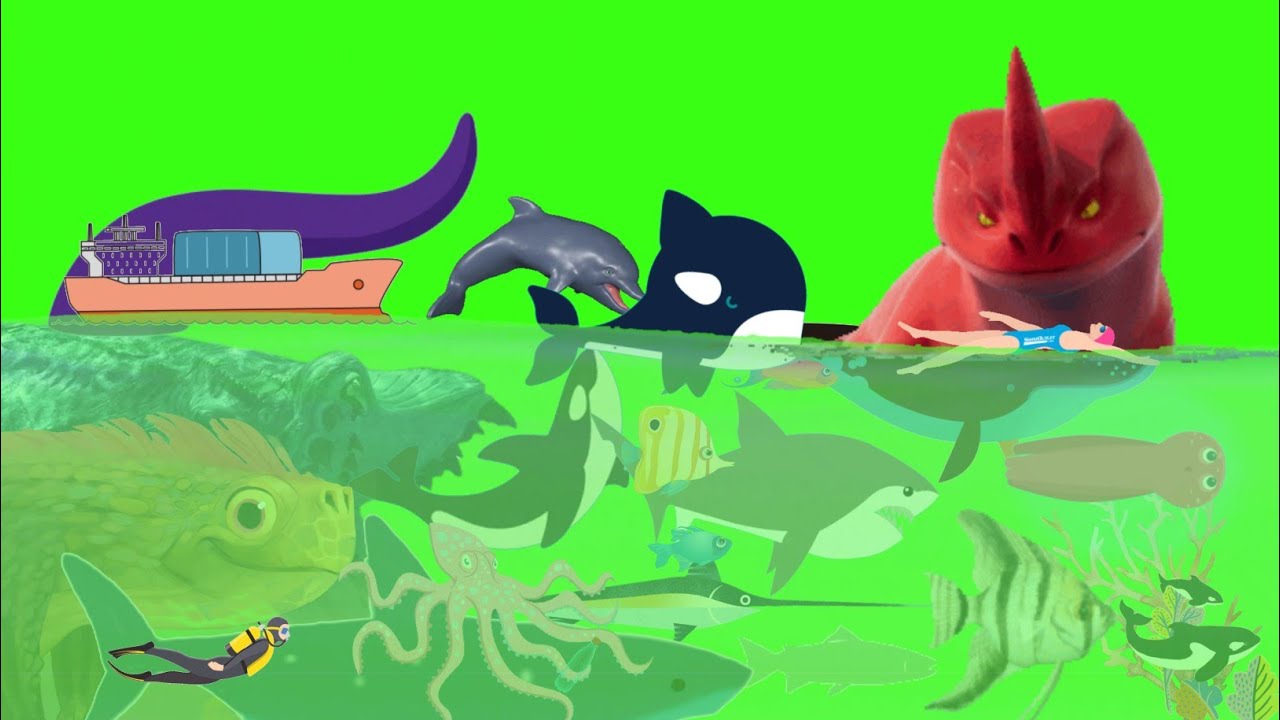 Fish stampede and superman | stampede green screen | 4k - YouTube