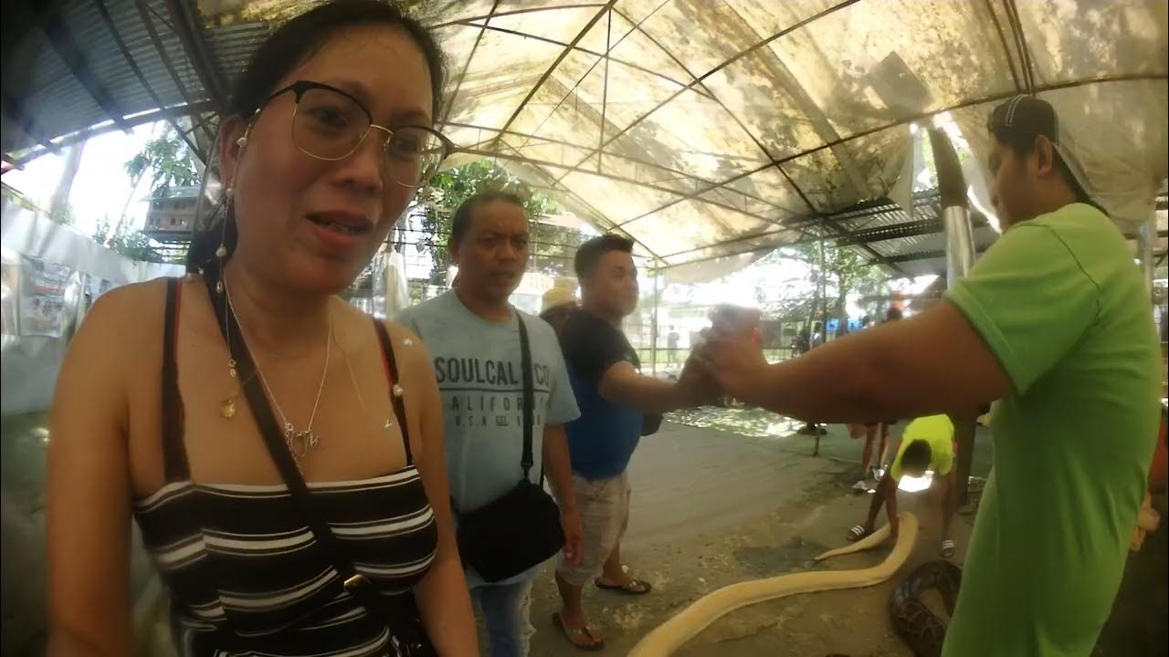 THE BIG SNAKE IN BOHOL PHILIPPINES - YouTube