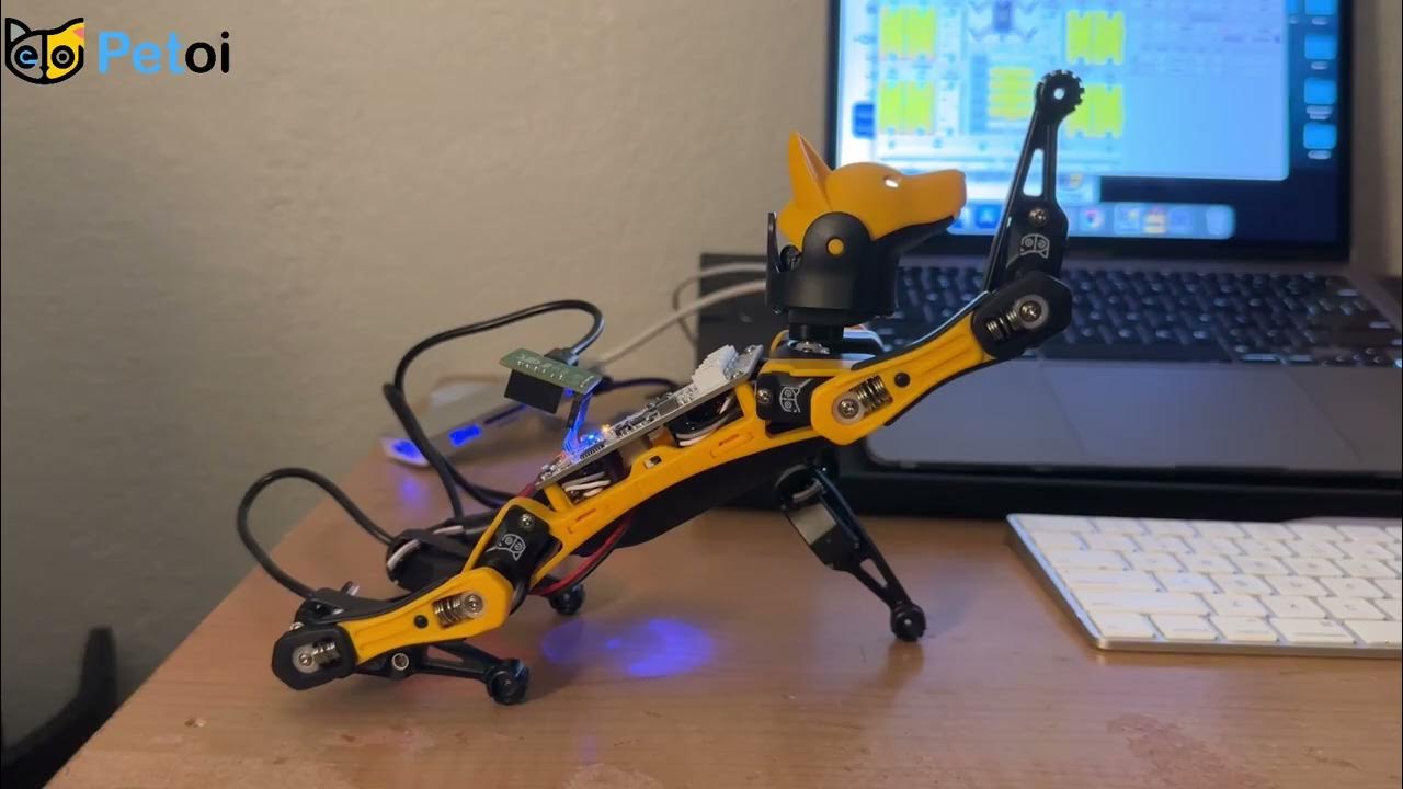 How to Program Greetings for Your Petoi Coding Blocks Robotics Curriculum 04 | PetoiCamp - YouTube