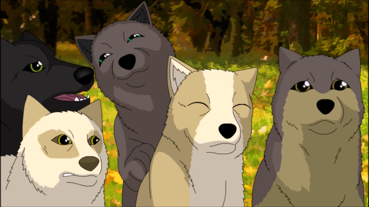 Feral Pride - Episode 15 - YouTube