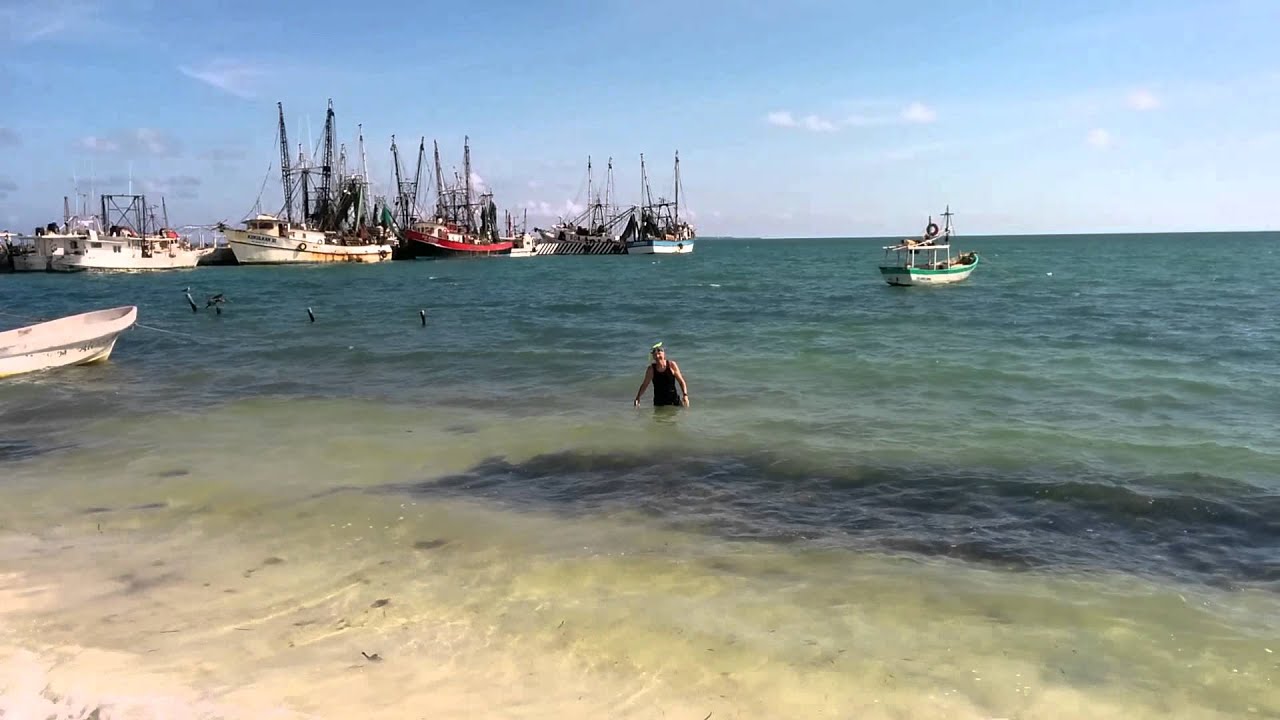 Frogmen Unlimited - featuring Barry the Barracuda - YouTube