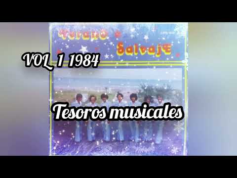 V. #1165 VERANO SALVAJE DE SAN LUIS POTOSÍ VOL 1 1984 DISCOS SIGNO DE TAMPICO - LA CUMBIA Y YO