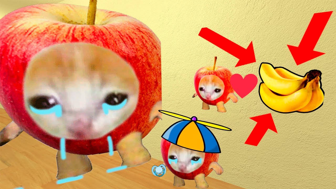 Apple Cat Family Wants Me To Find Bananas For Them - YouTube