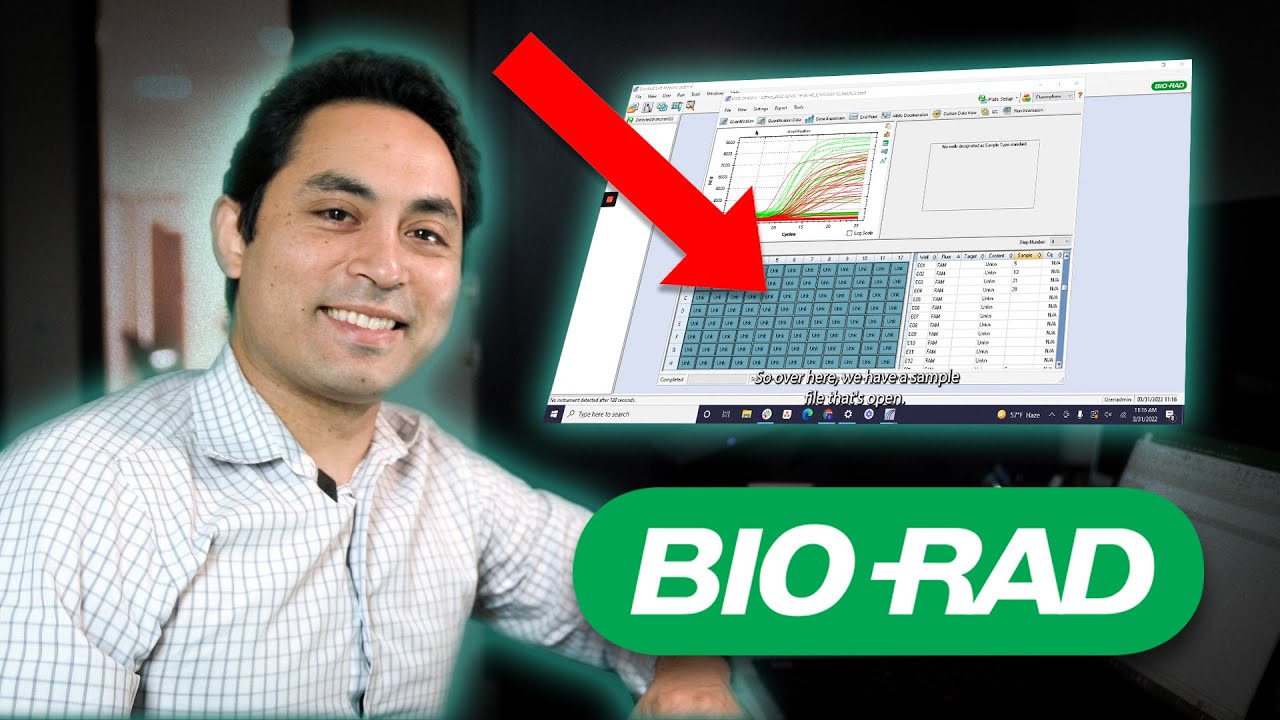 How to Perform Qualitative Analysis in Bio Rad CFX Maestro - YouTube