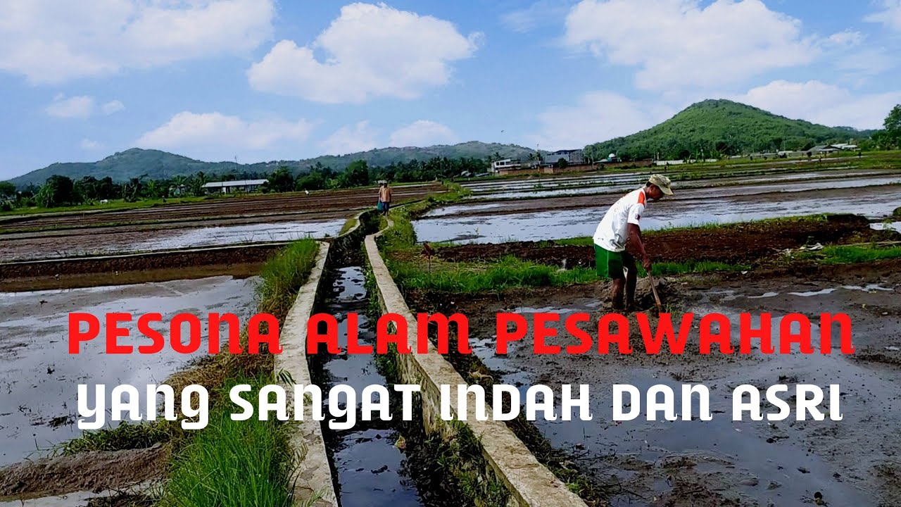 PESONA ALAM PESAWAHAN YANG SANGAT INDAH DAN ASRI DI SUKABUMI - YouTube