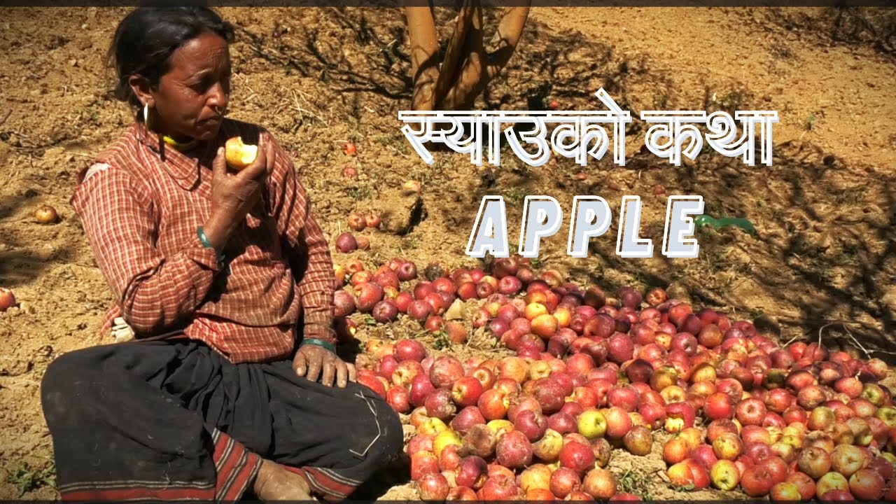 स्याउको कथा || अदानचुली गाँउपालिकाको स्याउको कथा ||The story of the ...