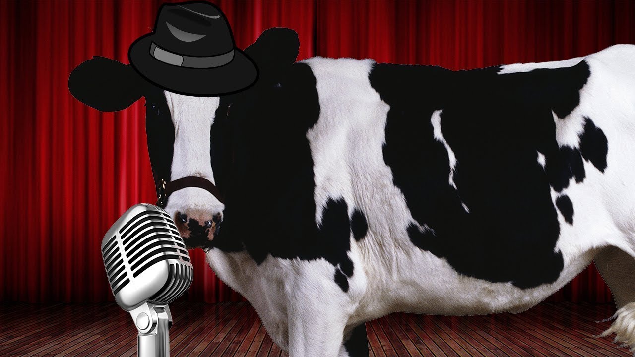 Comedy Night Having a Cow - YouTube