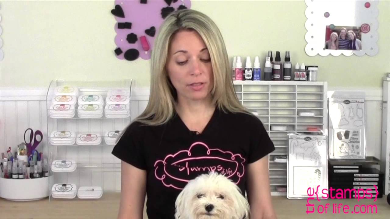 {Life} with Stephanie: Sugar Cookie! - YouTube