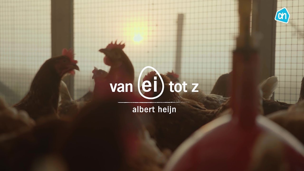 Albert Heijn | Van Ei tot Z - YouTube