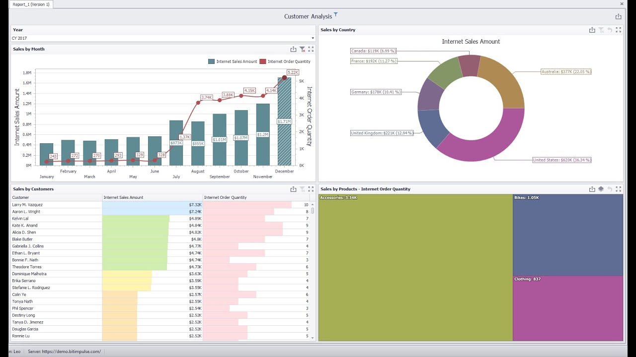 BAT. Report module. Interactive Dashboard. Customer Analysis - YouTube