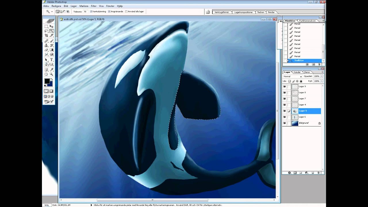 Orca Speed Painting - YouTube