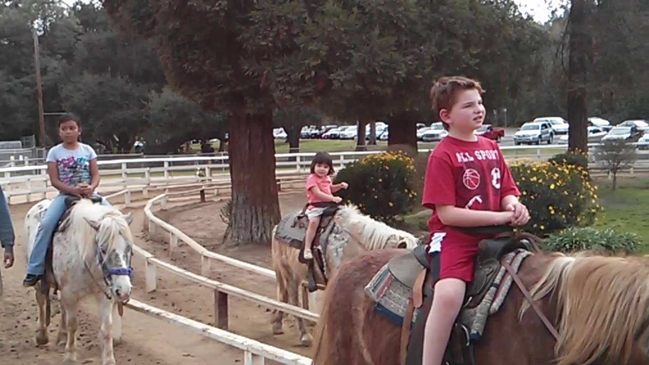 Things to Do in Los Angeles - Griffith Park Pony Rides - YouTube