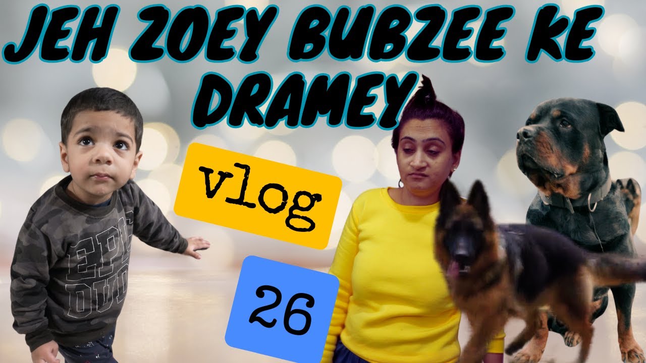 Jeh Zoey And Bubzee Ke Drama Hua Bahut zyada. #jehandzoey #dogs # ...