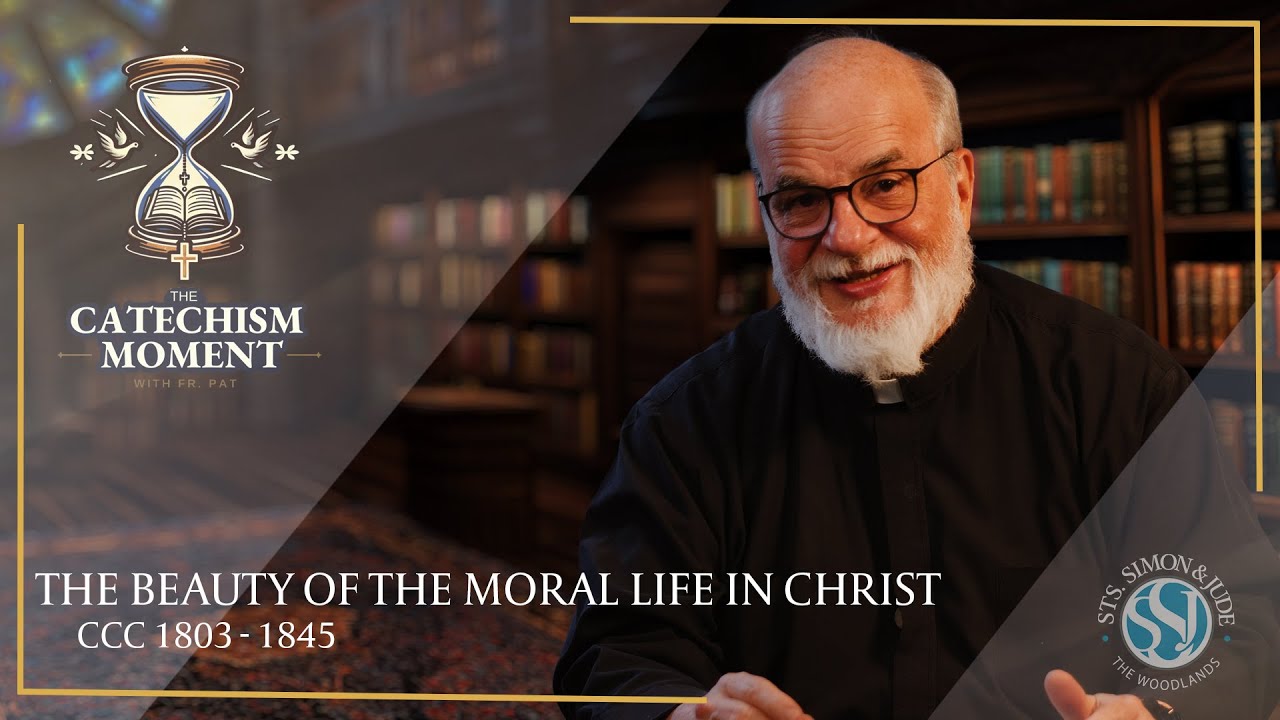 The Beauty of the Moral Life in Christ The Catechism Moment - YouTube