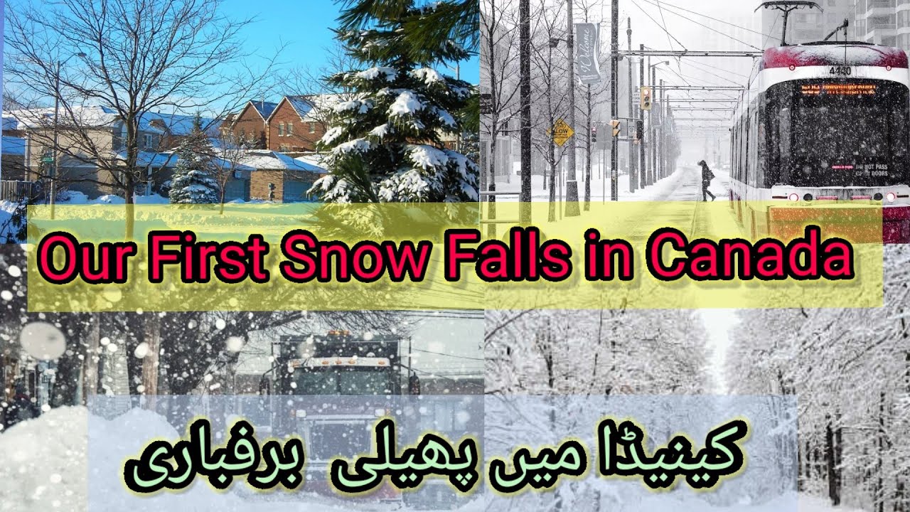 Our First Snow Falls Experience in Canada | First Snow of the season ...
