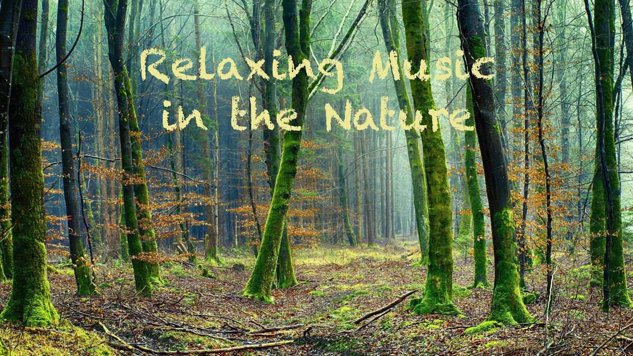 Relaxing Music for Joyful Energy – Calm and Uplifting Melodies - YouTube