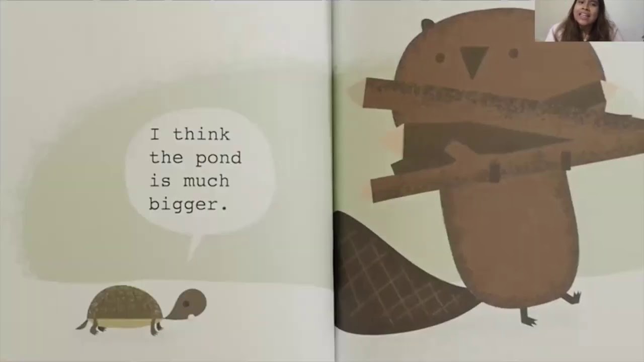 Thr Turtle the Beaver & the Pond - YouTube
