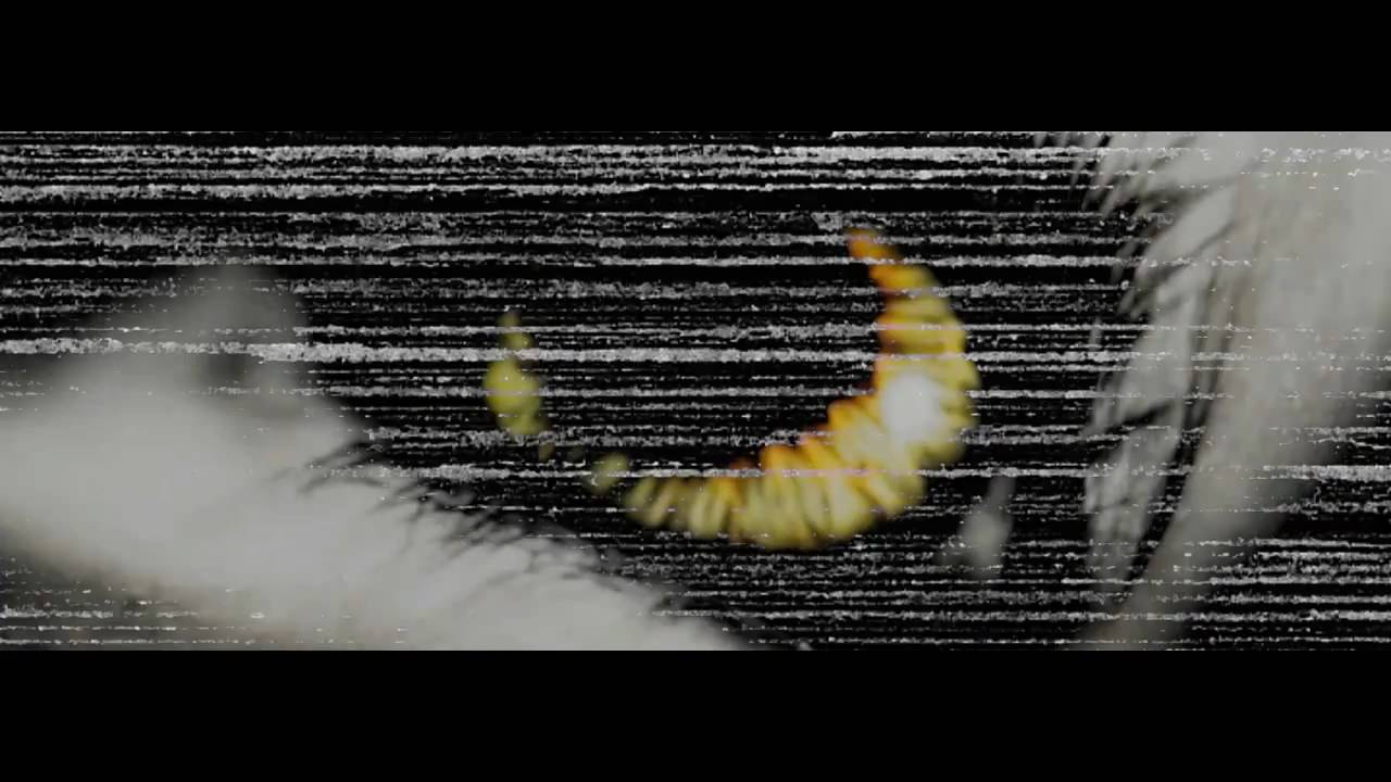 according to the legend, a werewolf bite can kill a vampire. - YouTube