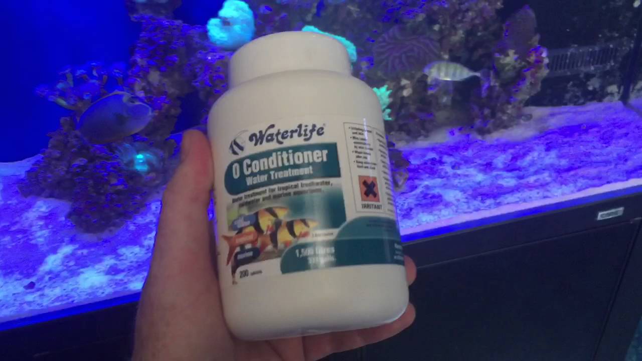 Octozin is back! - YouTube