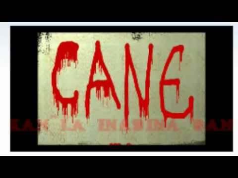 SUS YÜREĞİM ŞİİR-(Duygusal şiir)