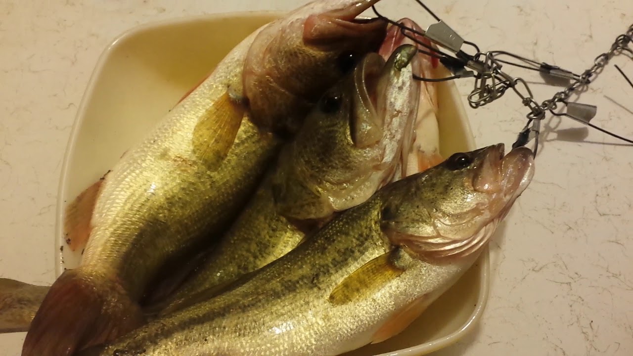 Father's Day mess of fish from out of my pond - YouTube