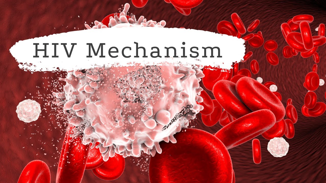Recorded lesson of HIV into helper T cell - YouTube