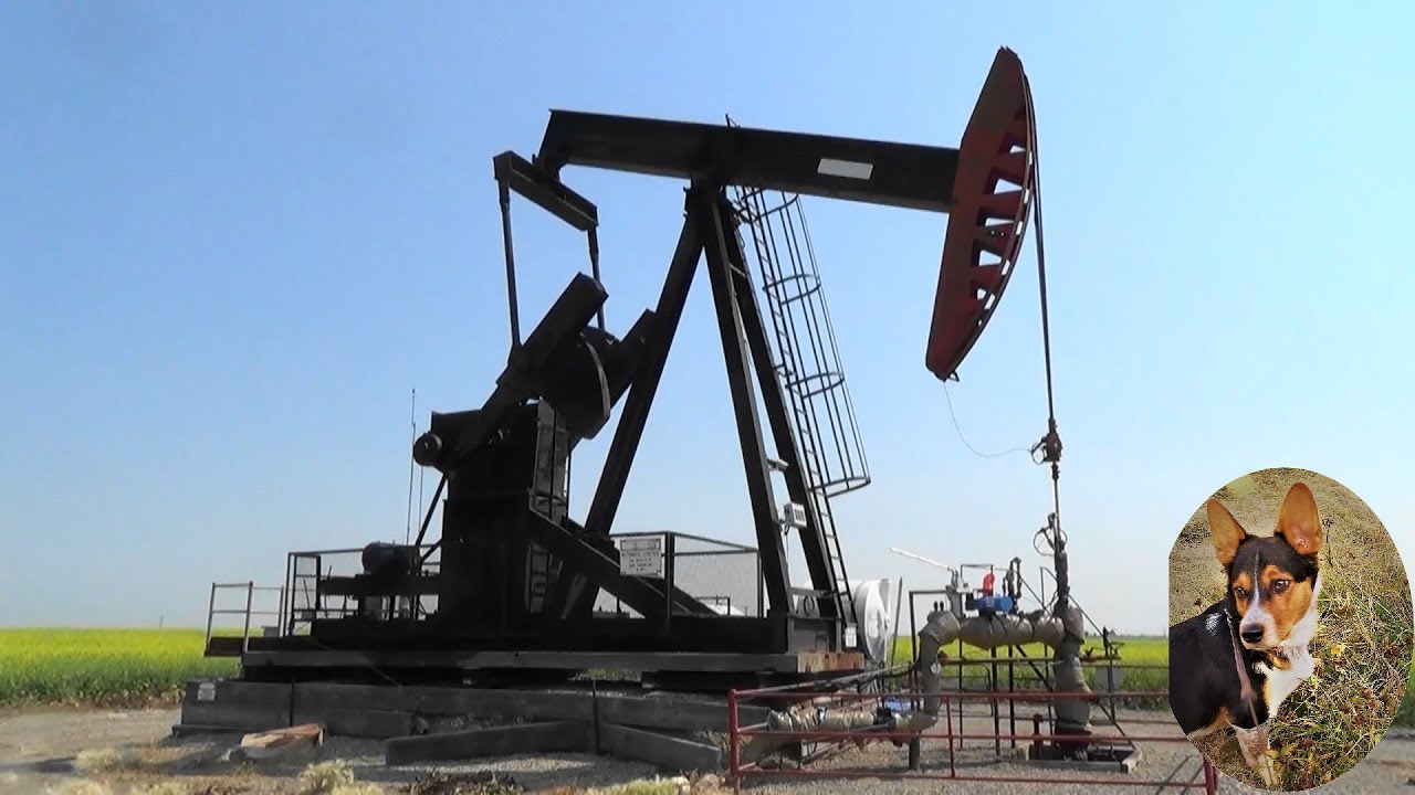 Cowboy Corgi - On the road (Part VIII) - Dickson Dam / Glennifer Lake ...