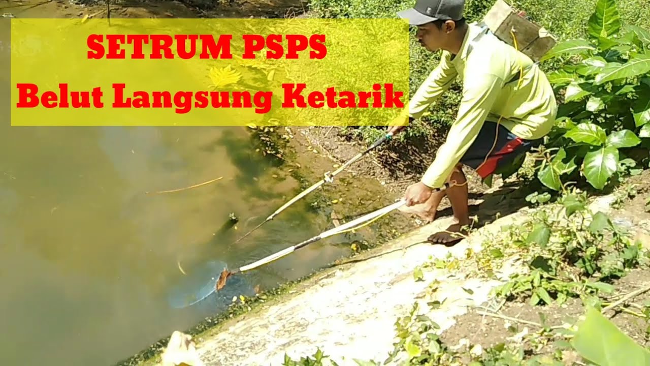 Inovasi Baru Setrum Ikan Tipe PSPS - YouTube