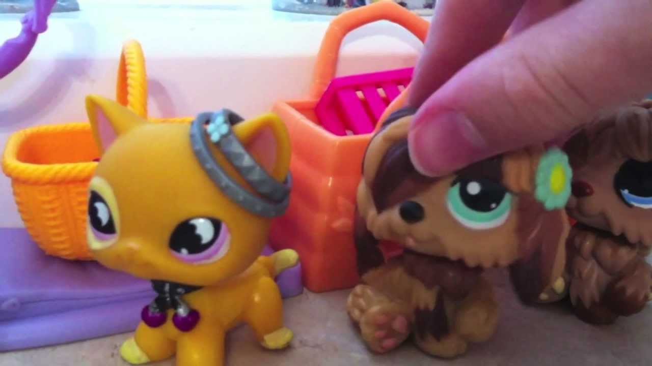 LPS: Secret Camping Part 1 - YouTube