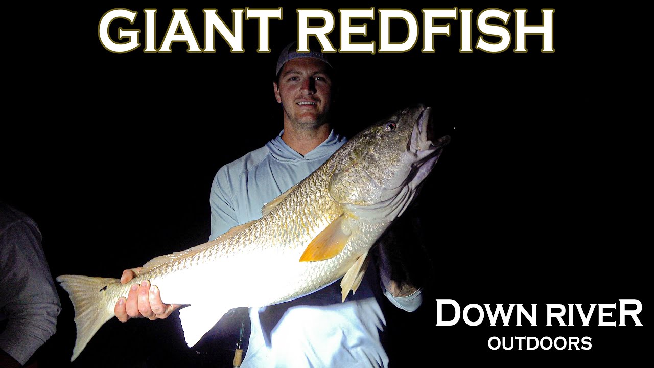 Inshore Fishing at Night for GIANT REDFISH in Lake Pontchartrain ...