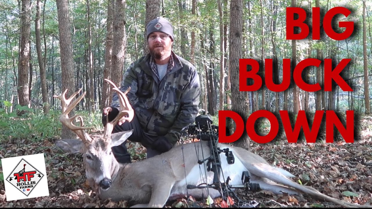 BIG BUCK DOWN 🦌🦌🦌 Whitetail Bow Hunting - YouTube