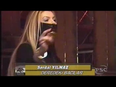 Serdal Yılmaz - Deredeki Bağcılar