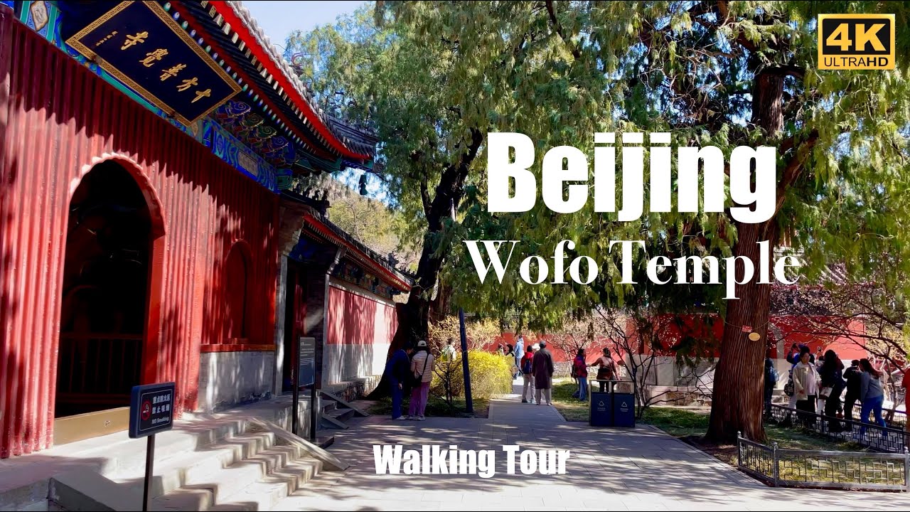 Early spring walking tour of Beijing Wofo Temple. 4K 北京臥佛寺徒步賞花 - YouTube