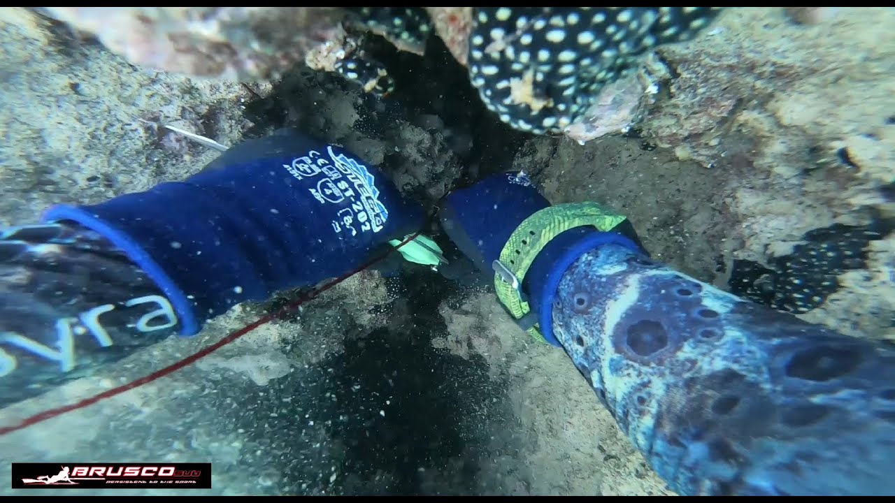 speargun shaft extraction / retrieval - YouTube