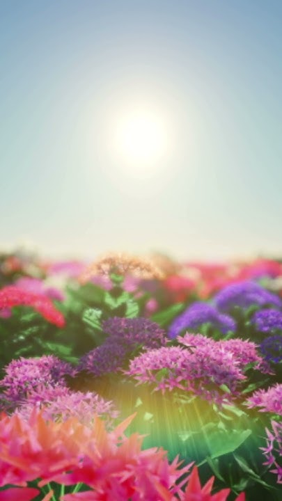 432 Hz Lucid Dreaming Music for The Body & Soul Connecting to Third Eye - YouTube